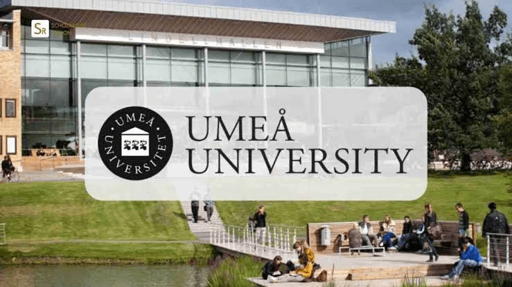PhD in Mathematics at Umeå University, Sweden 2026 Apply now